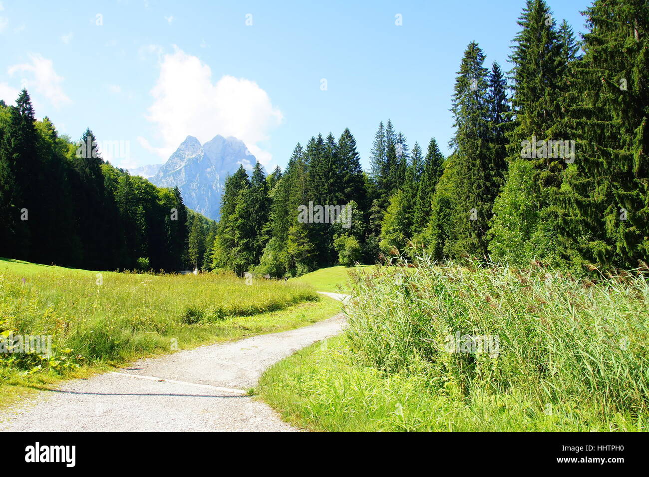 alps, bavaria, mountain, scenery, countryside, nature, tree, trees ...