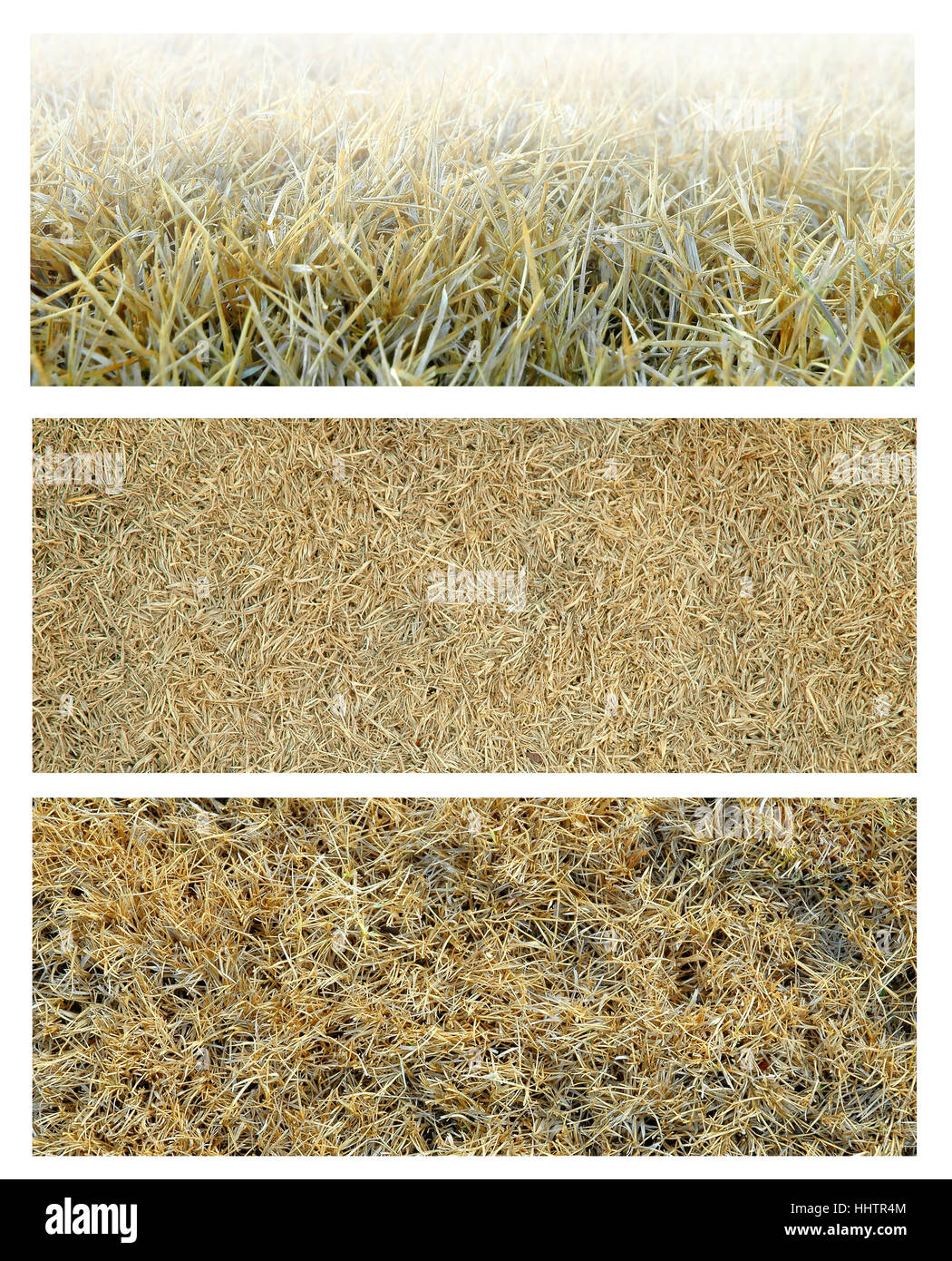colour, closeup, hill, field, dry, dried up, barren, vegetation ...