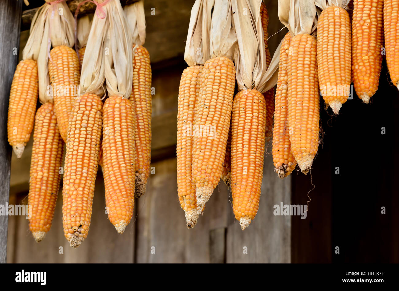 some, several, a few, food, aliment, agricultural, environment ...