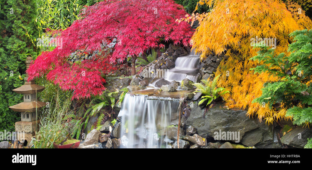 tree, trees, waterfall, maple, asian, season, colors, colours, fall ...