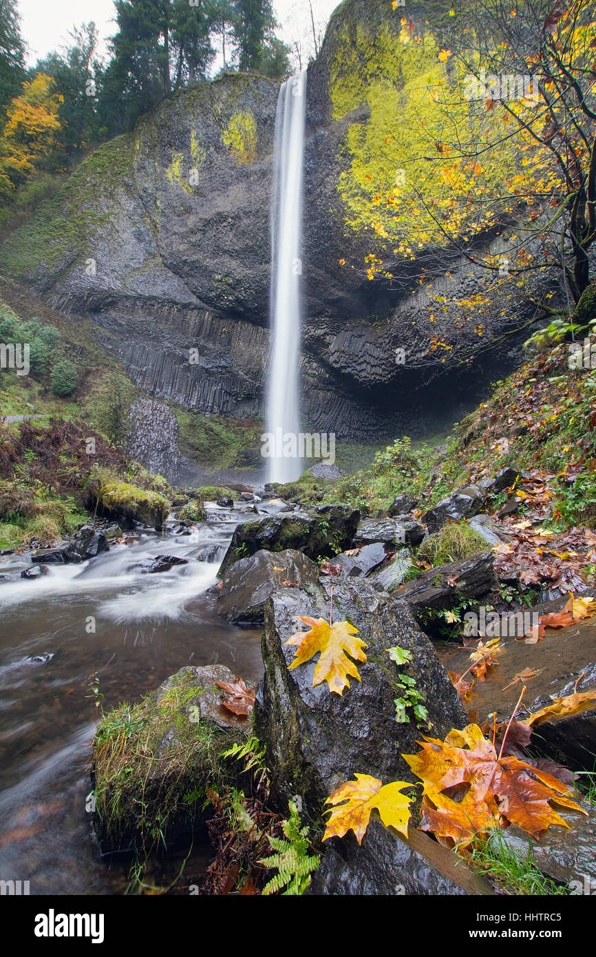 leaves, waterfall, foliage, river, water, fall, autumn, colour, tree ...