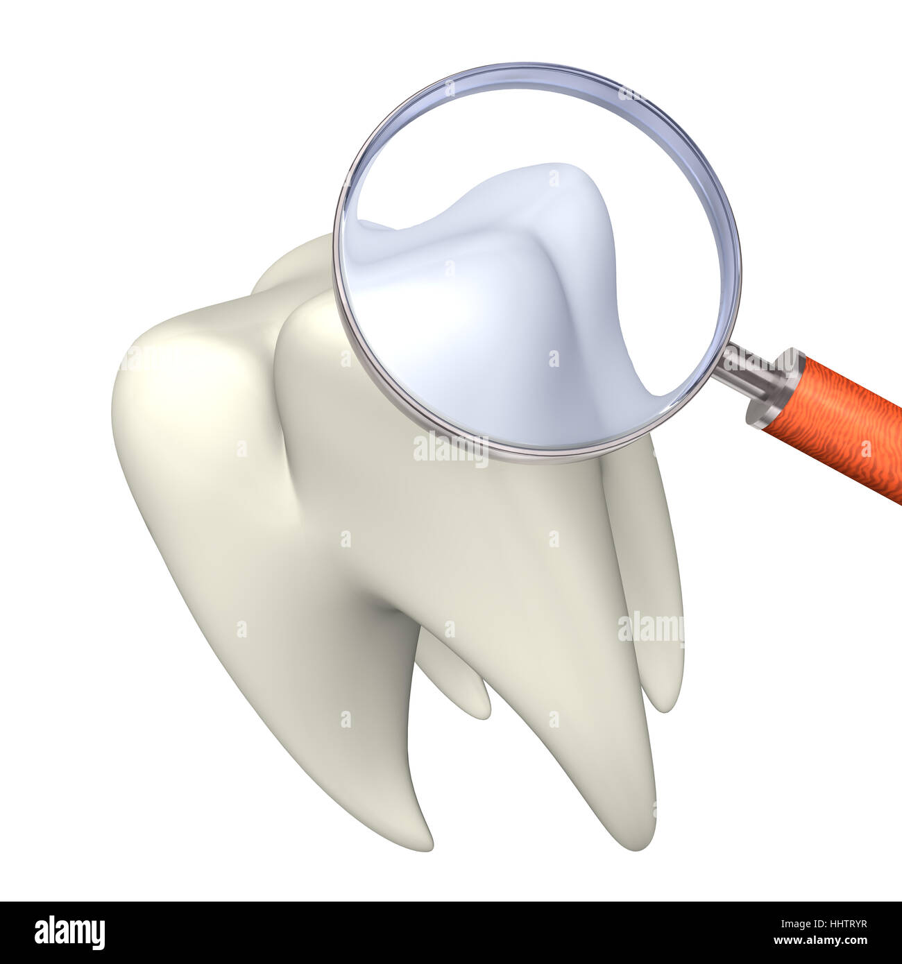 health, dentist, tooth, dent, clean, dentistry, white, odontology ...