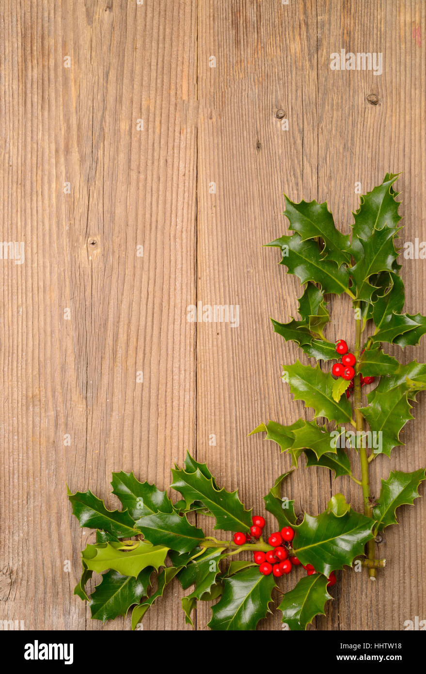 tree, winter, party, celebration, decoration, snow, backdrop ...