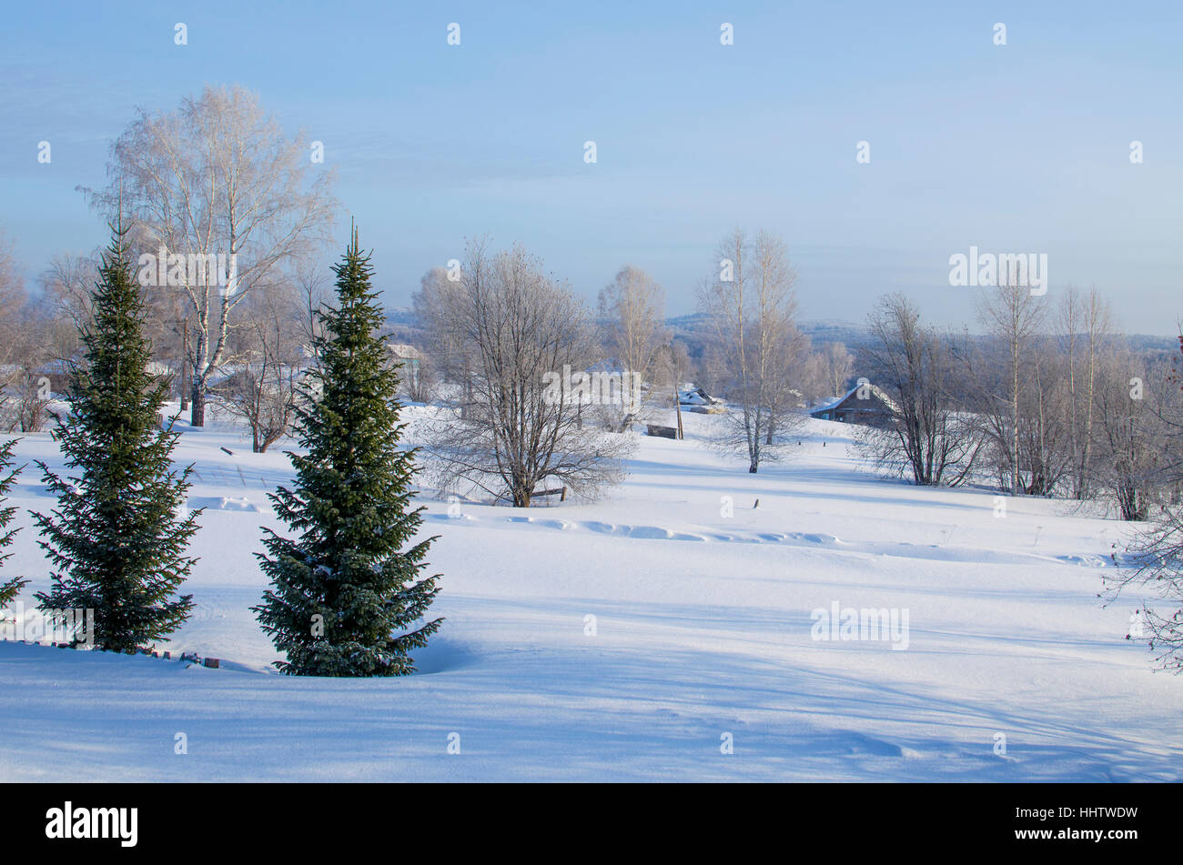 Siberia landscape trees hi-res stock photography and images - Alamy