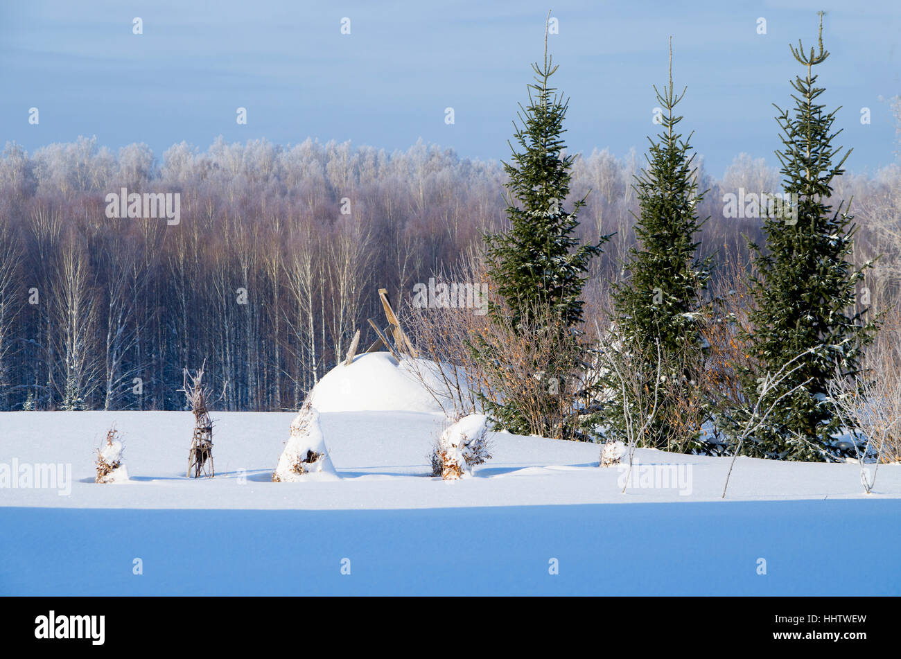 Siberia landscape trees hi-res stock photography and images - Alamy
