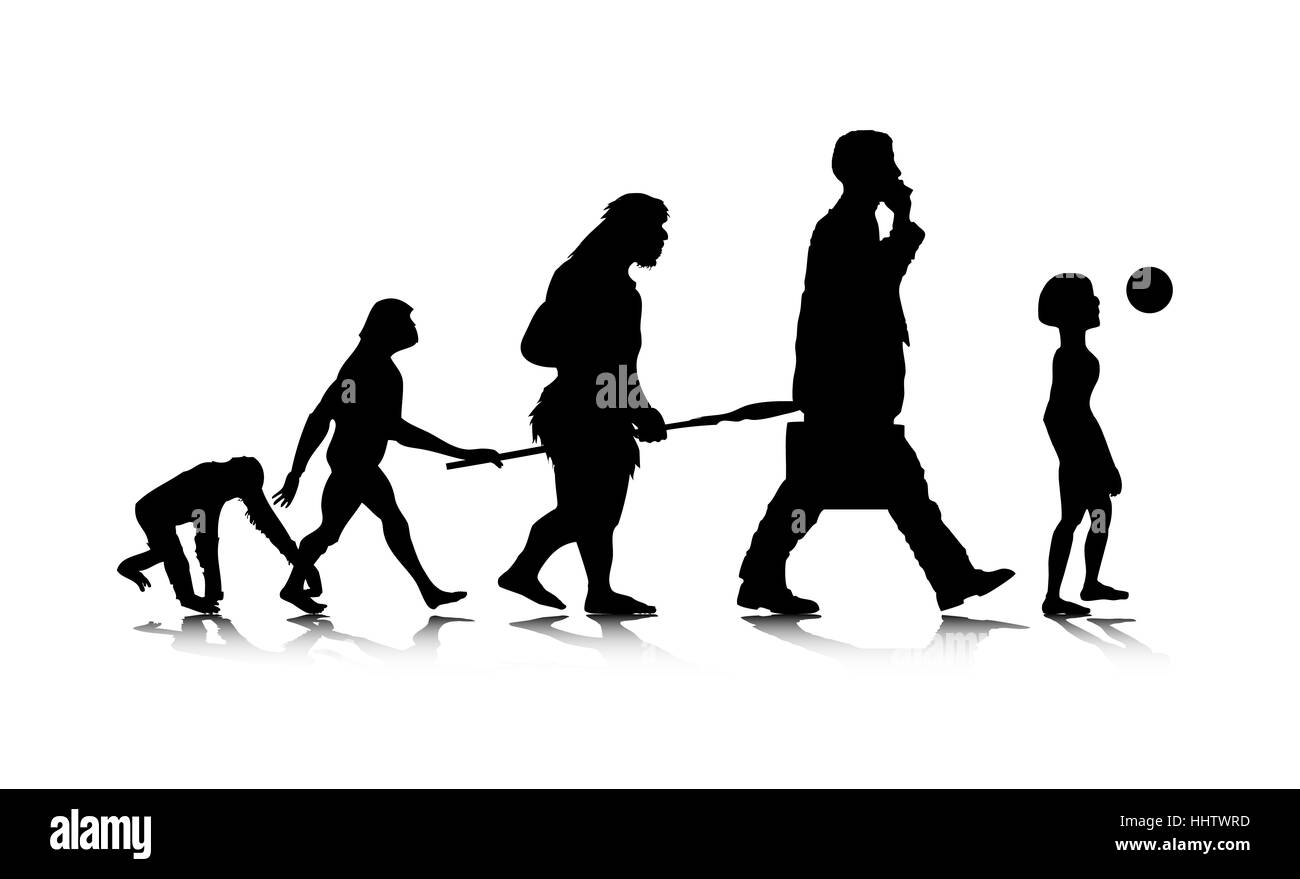 human evolution 6 Stock Photo - Alamy