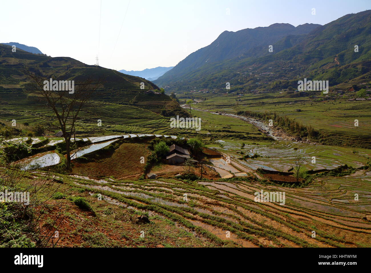 Terrace rice fields Stock Photo - Alamy
