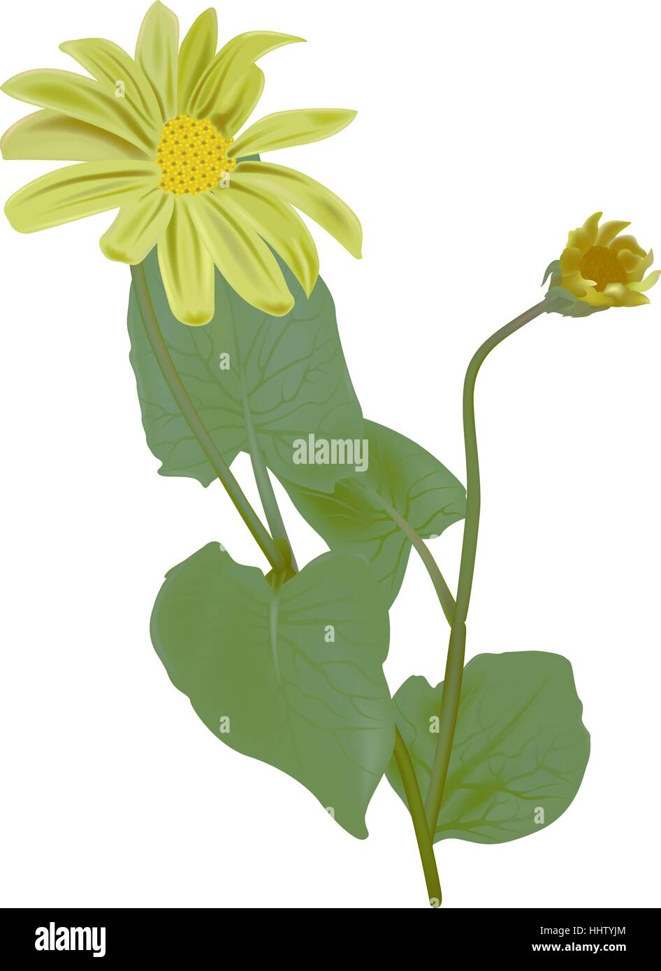 Bane Cut Out Stock Images & Pictures - Alamy