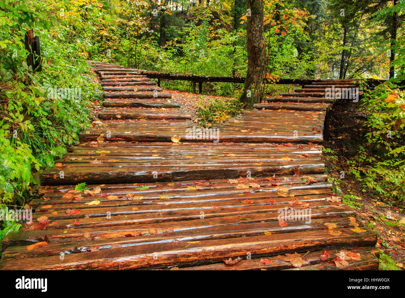 Rainy day and wooden tourist path in Plitvice lakes national park ...