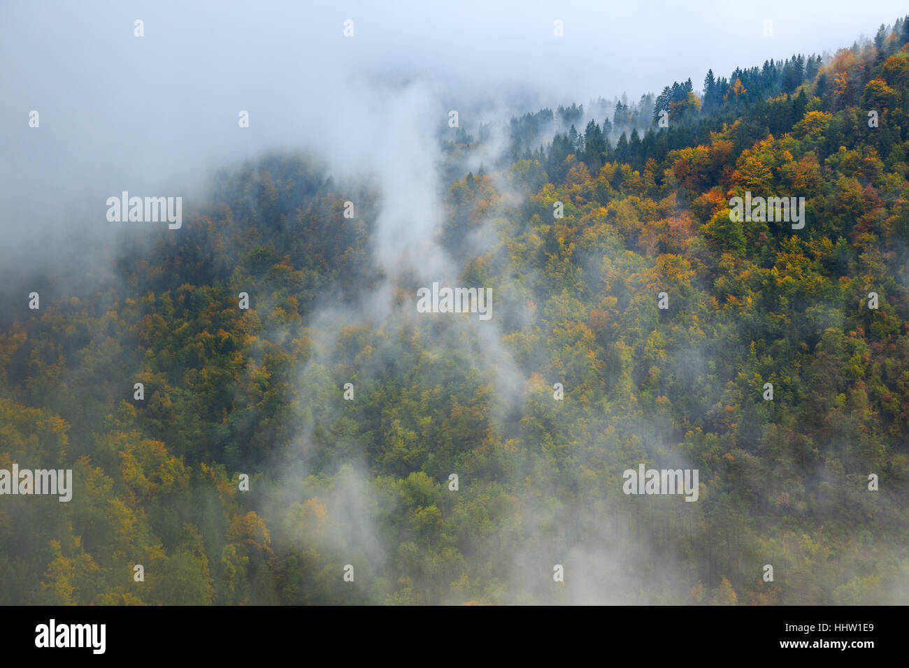 Landscape fall forest mountain hi-res stock photography and images - Alamy