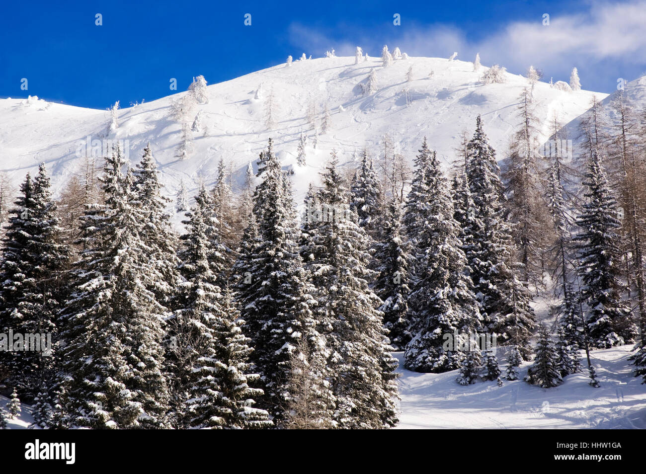 winter, snow, coke, cocaine, material, drug, anaesthetic, addictive ...