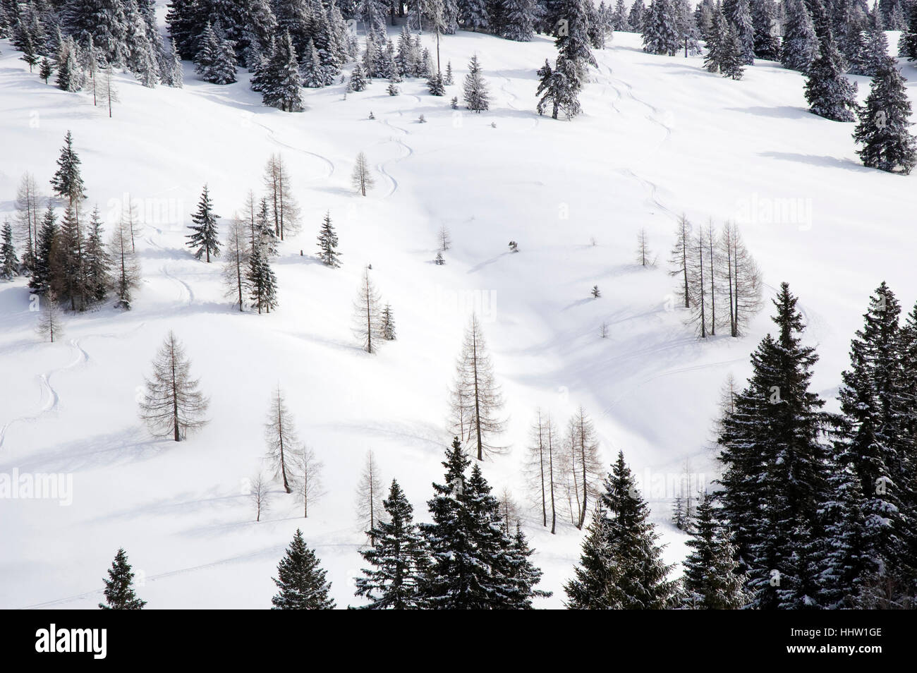 winter, snow, coke, cocaine, material, drug, anaesthetic, addictive drug Stock Photo - Alamy