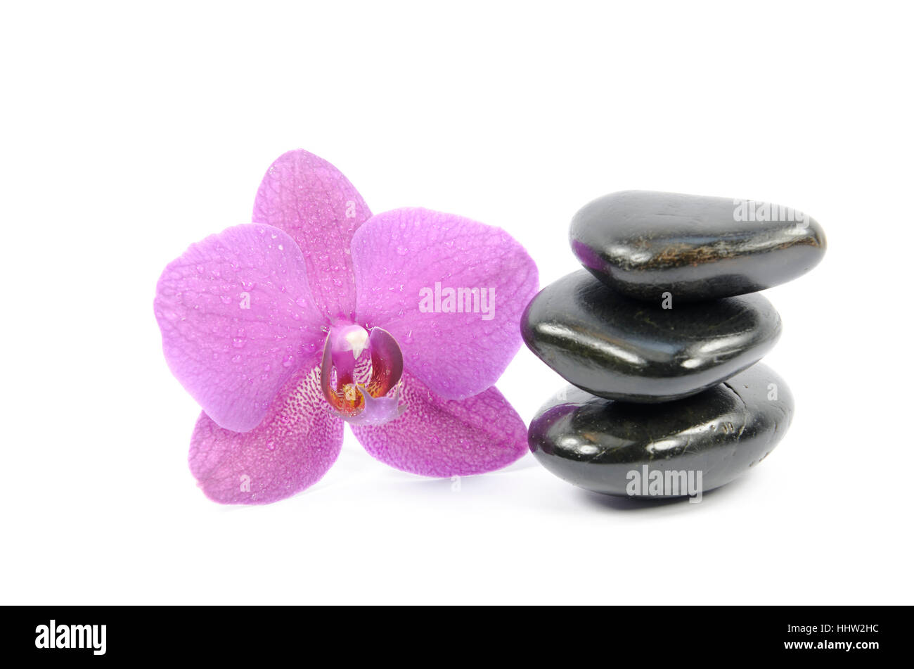 stone, flower, plant, purple, stack, stacked, pebble, heap, pile ...