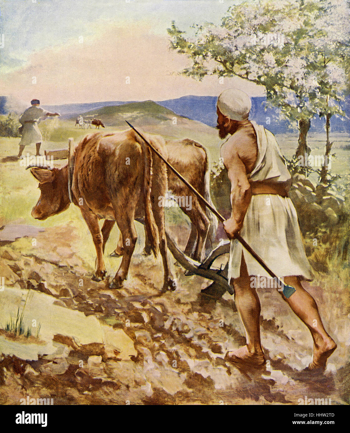 Ox Drawn Plough High Resolution Stock Photography and Images - Alamy