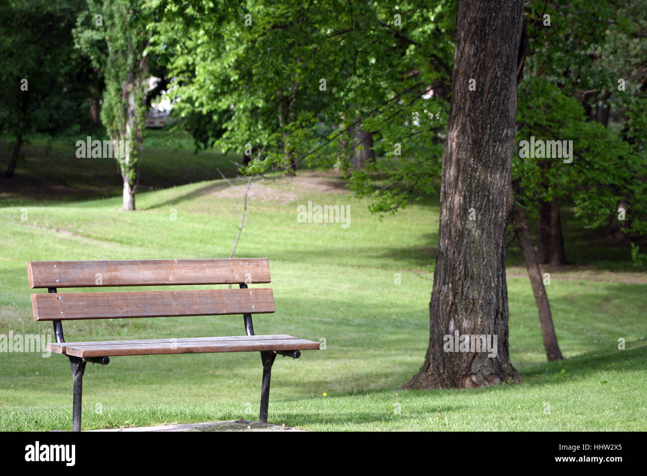 tree, park, outdoor, seat, bench, park bench, meadow, grass, lawn ...