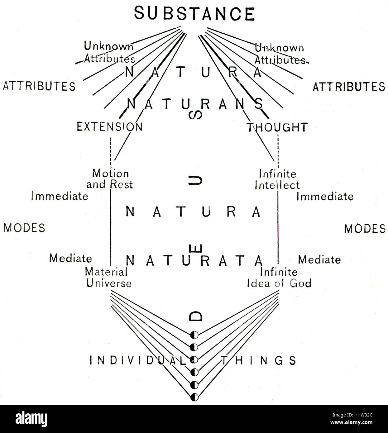 Benedict (Baruch) Spinoza, . Dutch philosopher .1632-1677. Diagram ...