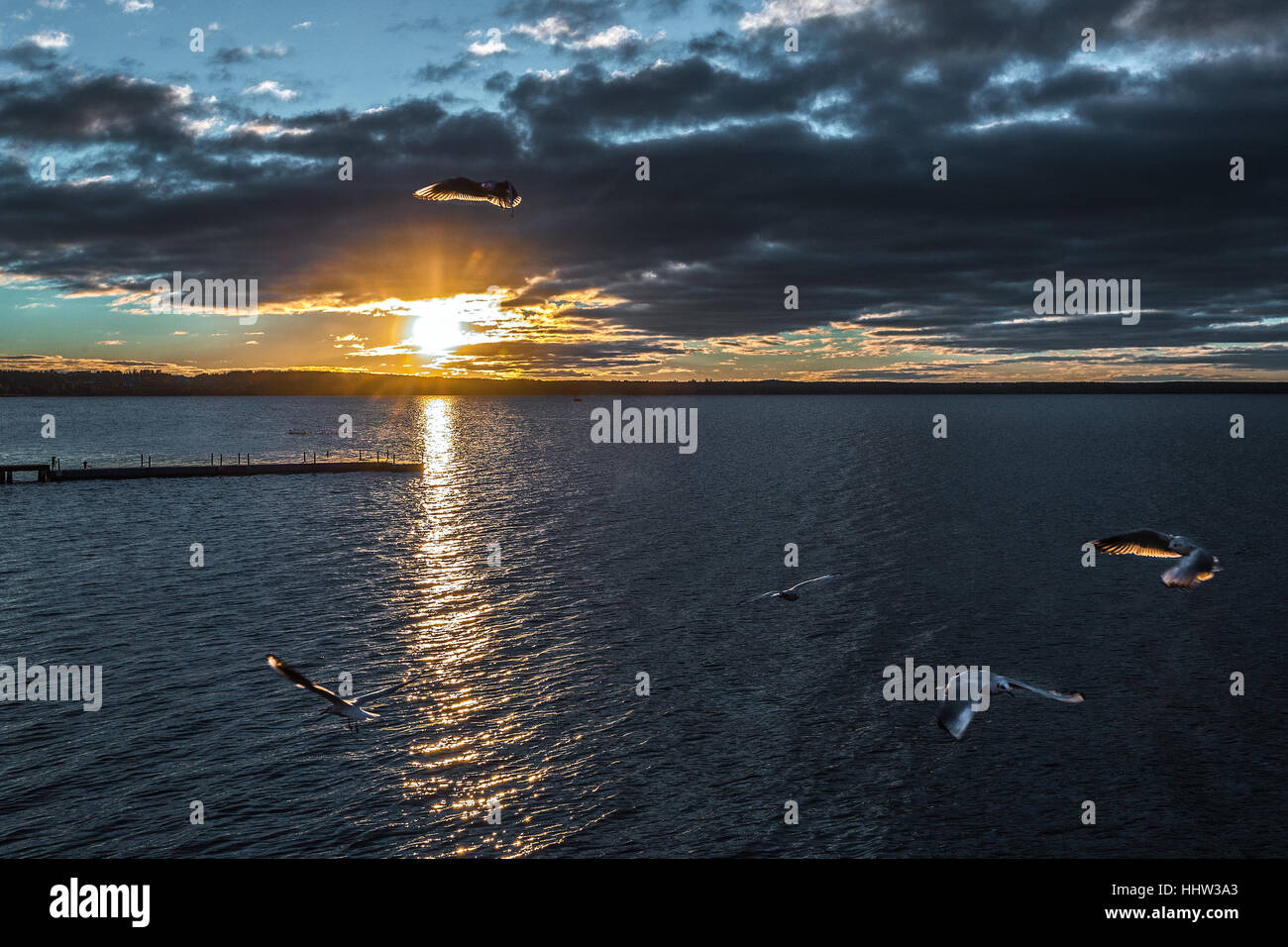 birds at sunset Stock Photo - Alamy