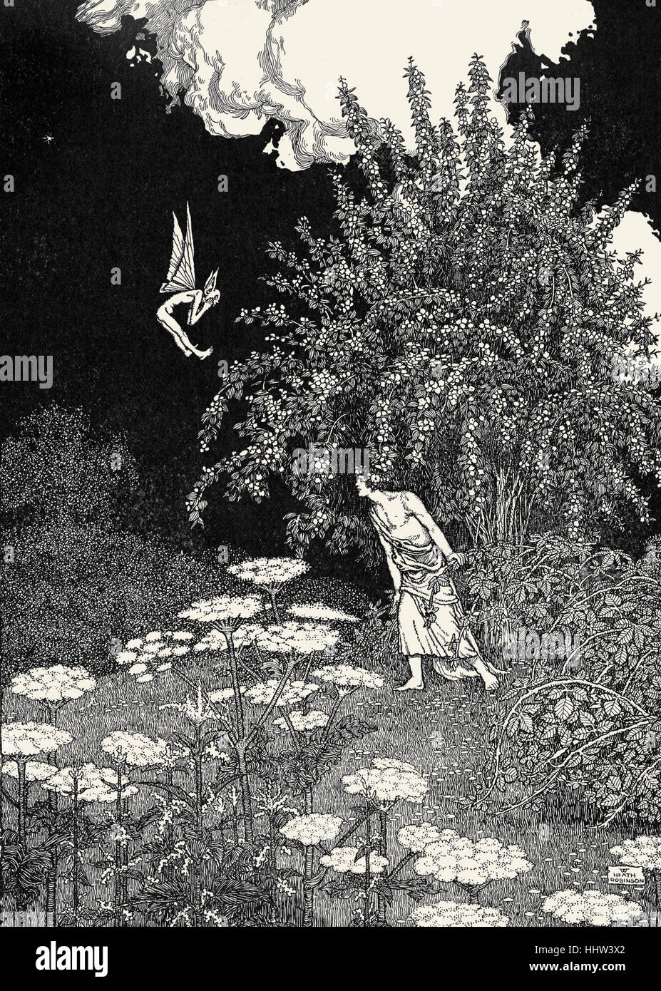 Demetrius Midsummer Nights Dream Drawing