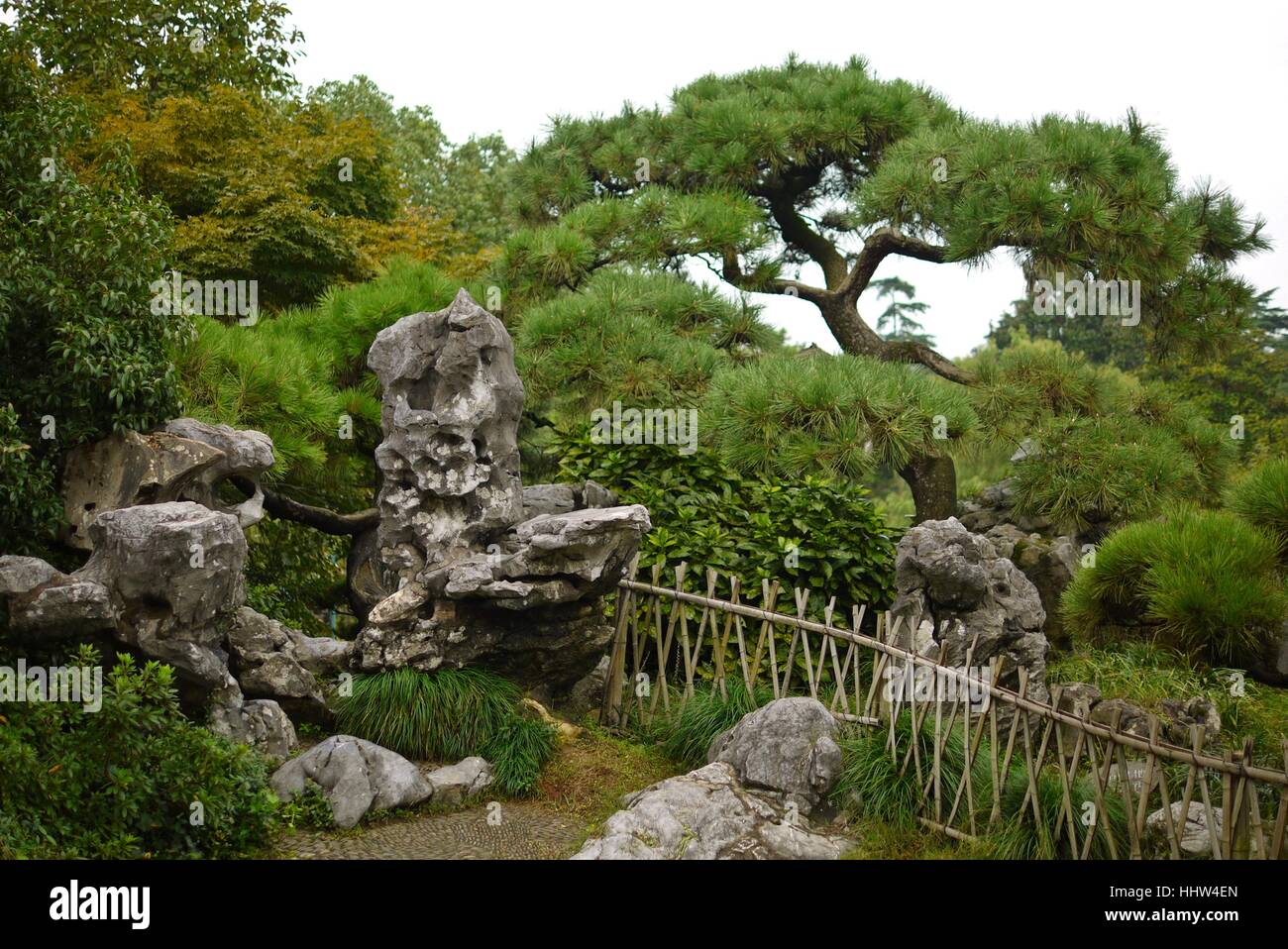 Chinese style garden consists of trees and stones at West Lake in ...