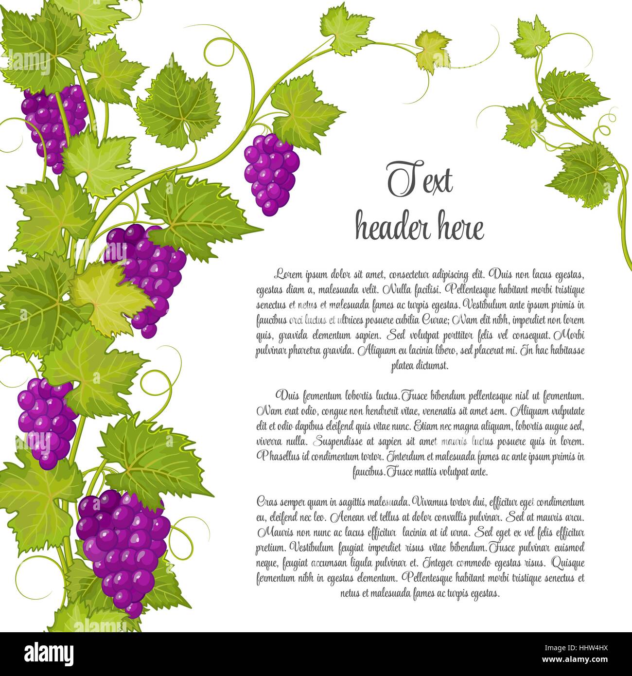 Bunch of grapes for label of wine or other. Grapes pattern page in ...