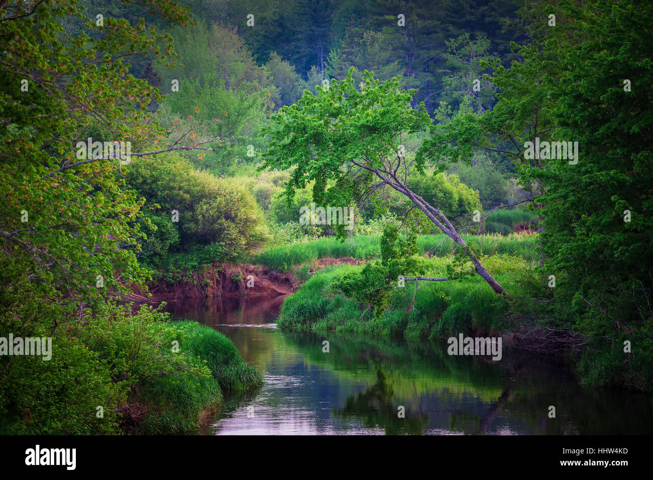 Annapolis river landscape hi-res stock photography and images - Alamy