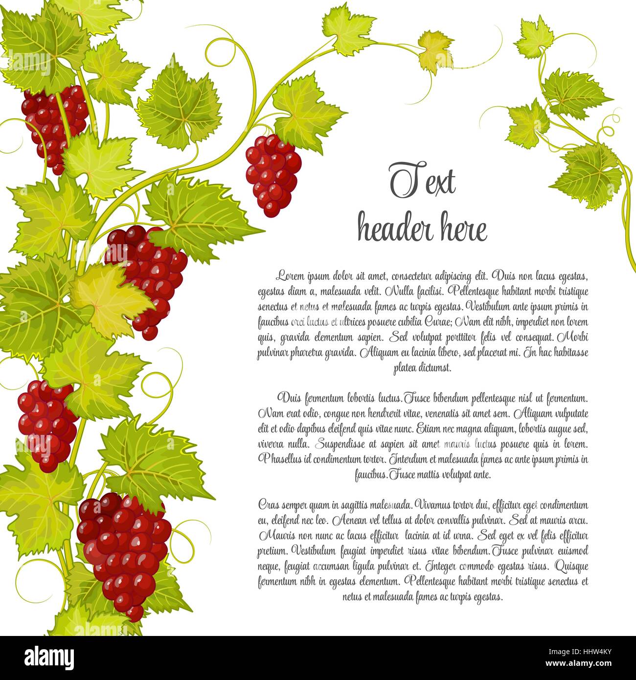 Bunch green grapes in Stock Vector Images - Alamy