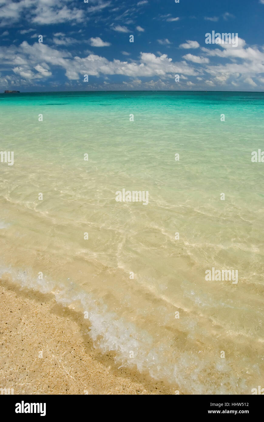 beach, seaside, the beach, seashore, wave, tropical, salt water, sea ...