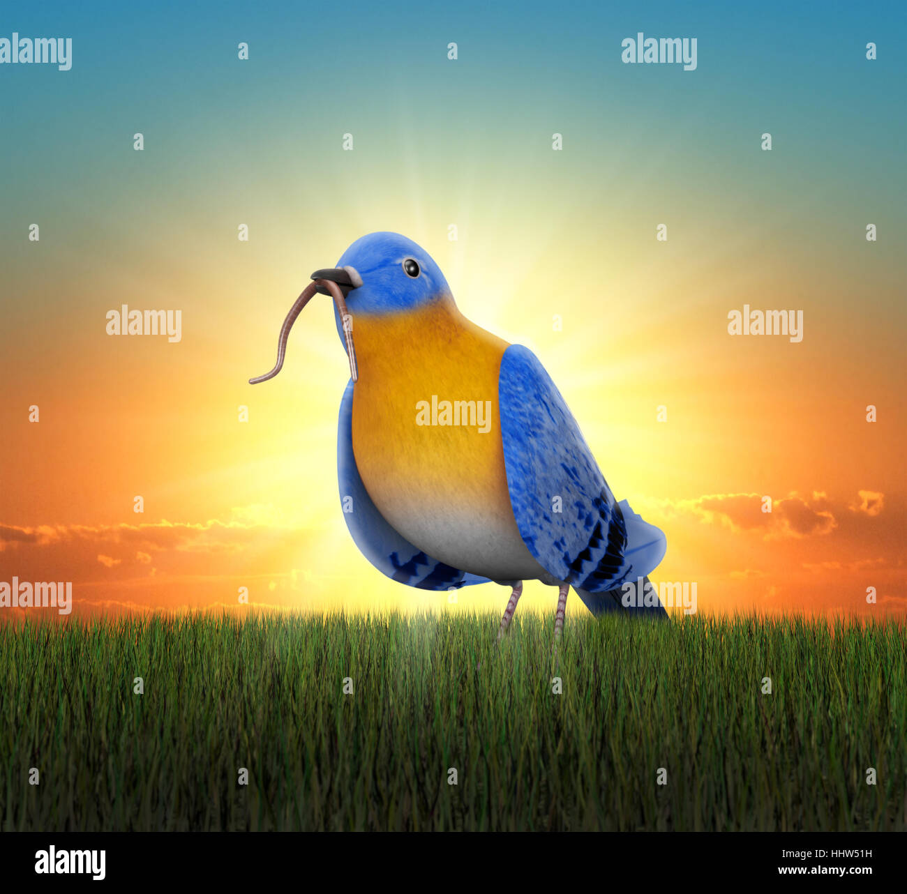 bird, early, morning, opportunity, worm, nature, tomorrow, animal, bird ...