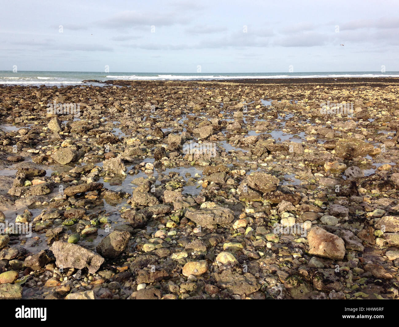 Gravel beach rocks on hi-res stock photography and images - Alamy