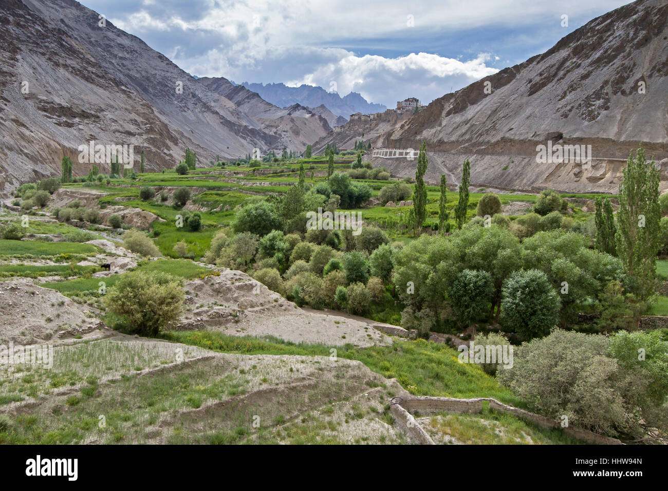 landscape in ladakh,northern india,near lamayuru Stock Photo - Alamy
