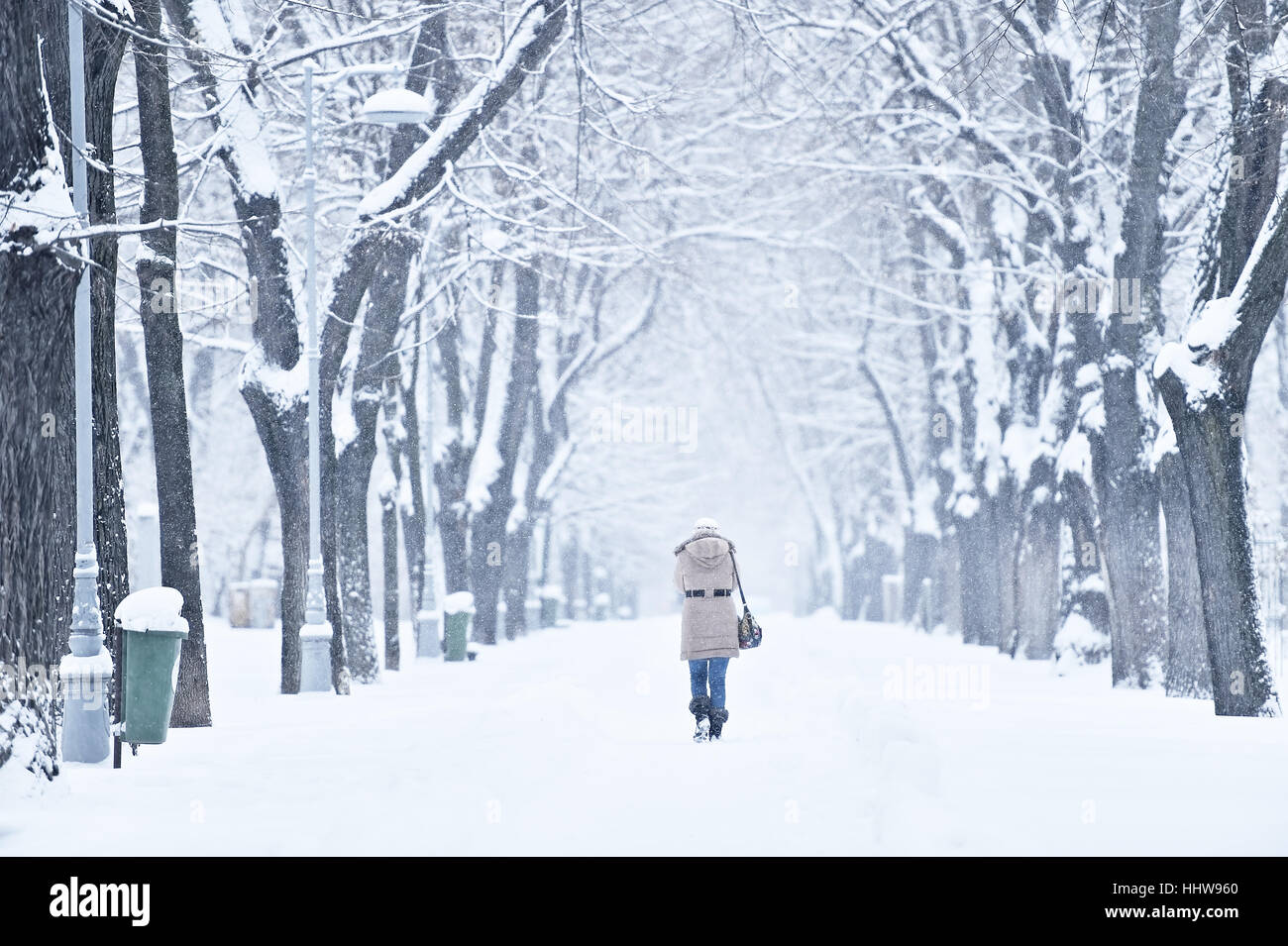 People walking on snow covered sidewalk during a snowfall Stock Photo ...