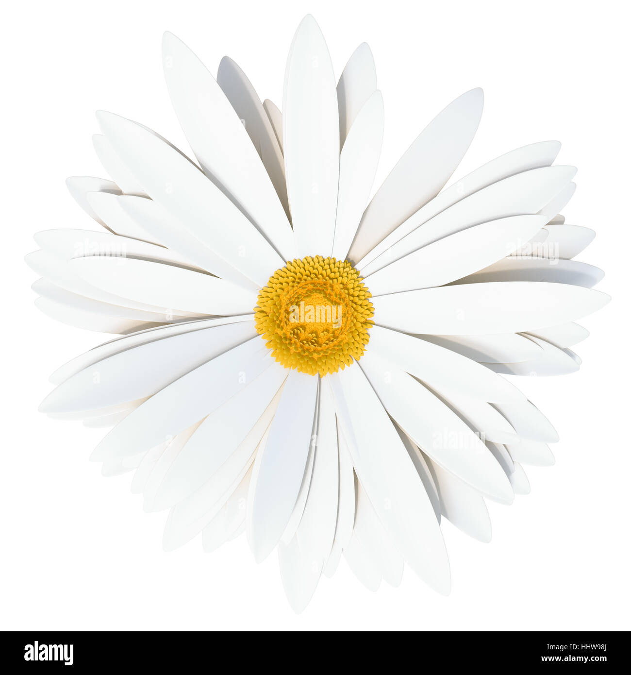 Chamomile flower. Summer symbol for your design Stock Photo - Alamy