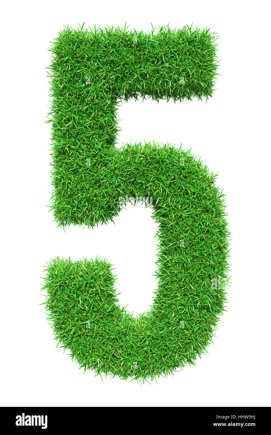 Five grass Cut Out Stock Images & Pictures - Alamy