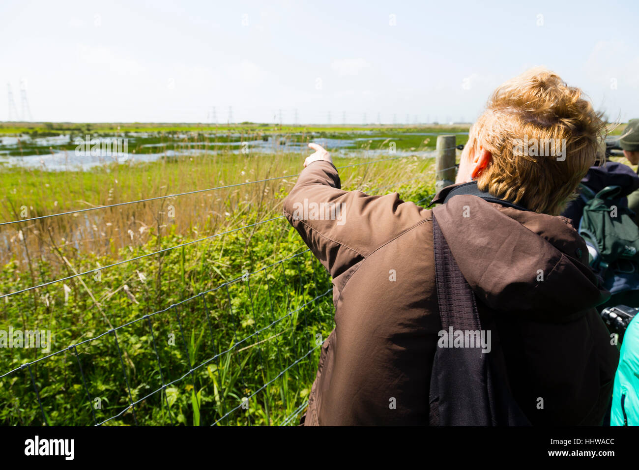 Bird spotter hi-res stock photography and images - Alamy