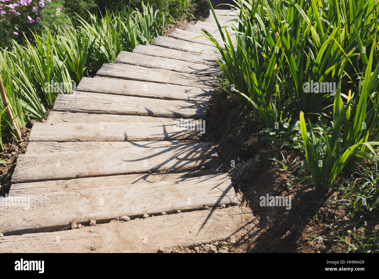 stairway, staircase, stairs step and bush in garden Stock Photo - Alamy