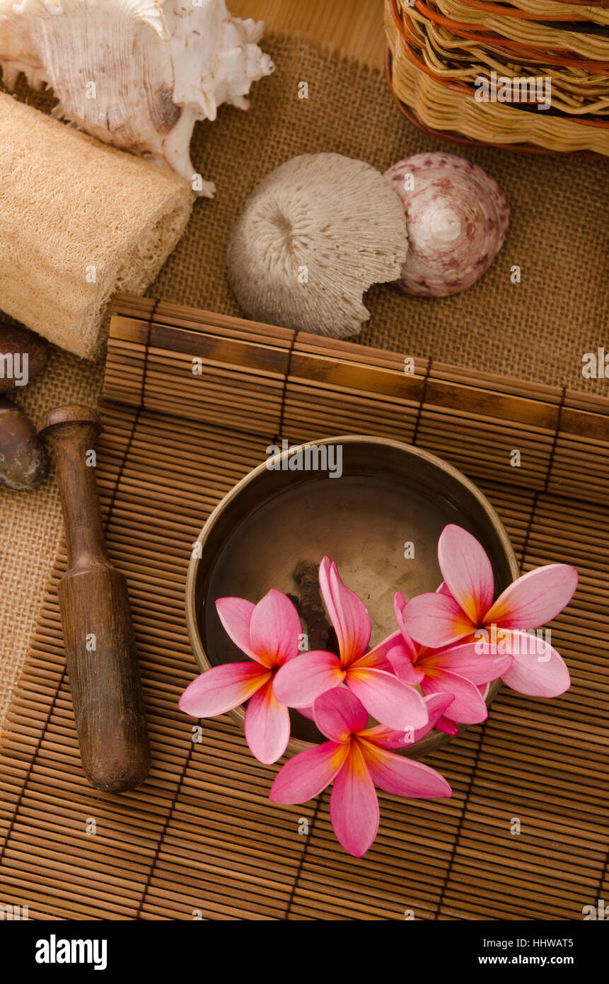 model, design, project, concept, plan, draft, relaxation, stone, brown ...