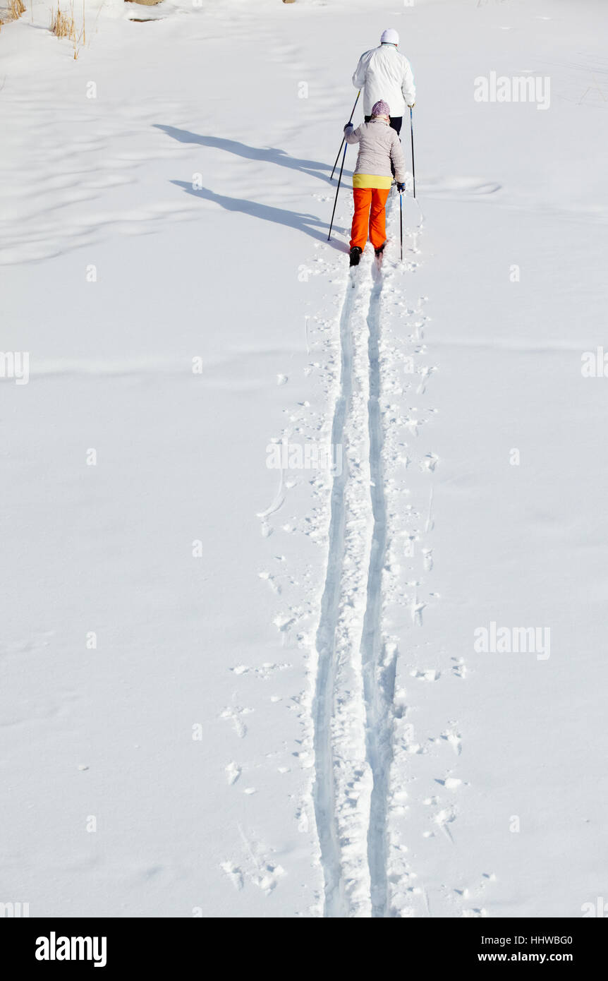 woman, humans, human beings, people, folk, persons, human, human being ...