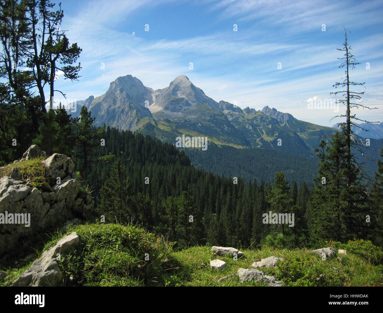 mountains, bavaria, blue, tree, mountains, wood, trunk, alps, rock ...