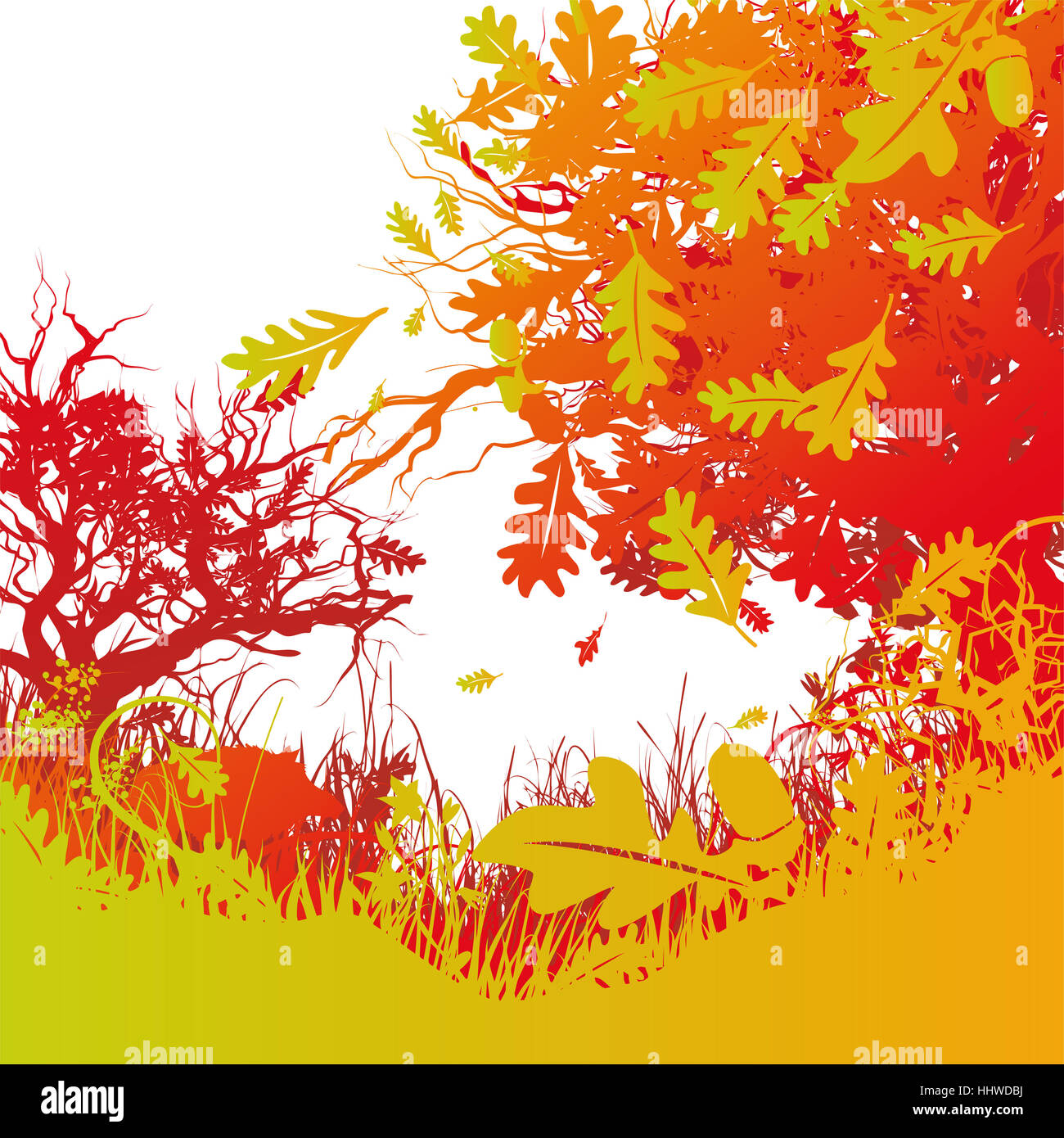 oak, deciduous forest, wild boar, pig, acorn, forest, leaves, foliage ...