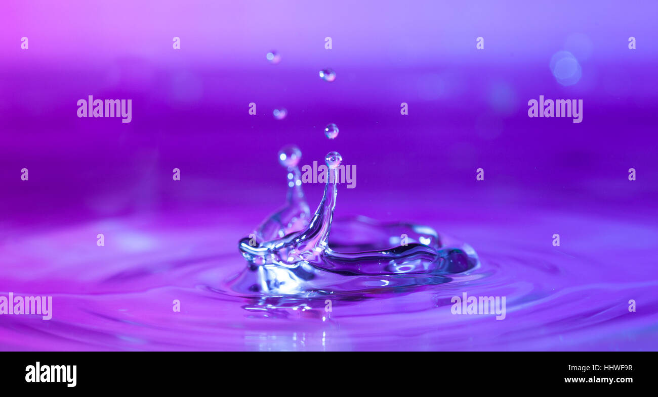 Splash of purple colour hi-res stock photography and images - Alamy