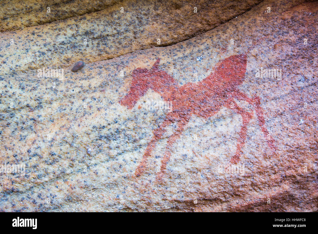 Ancient bushman paintings on Sevilla Rock Art trail in Cederberg ...