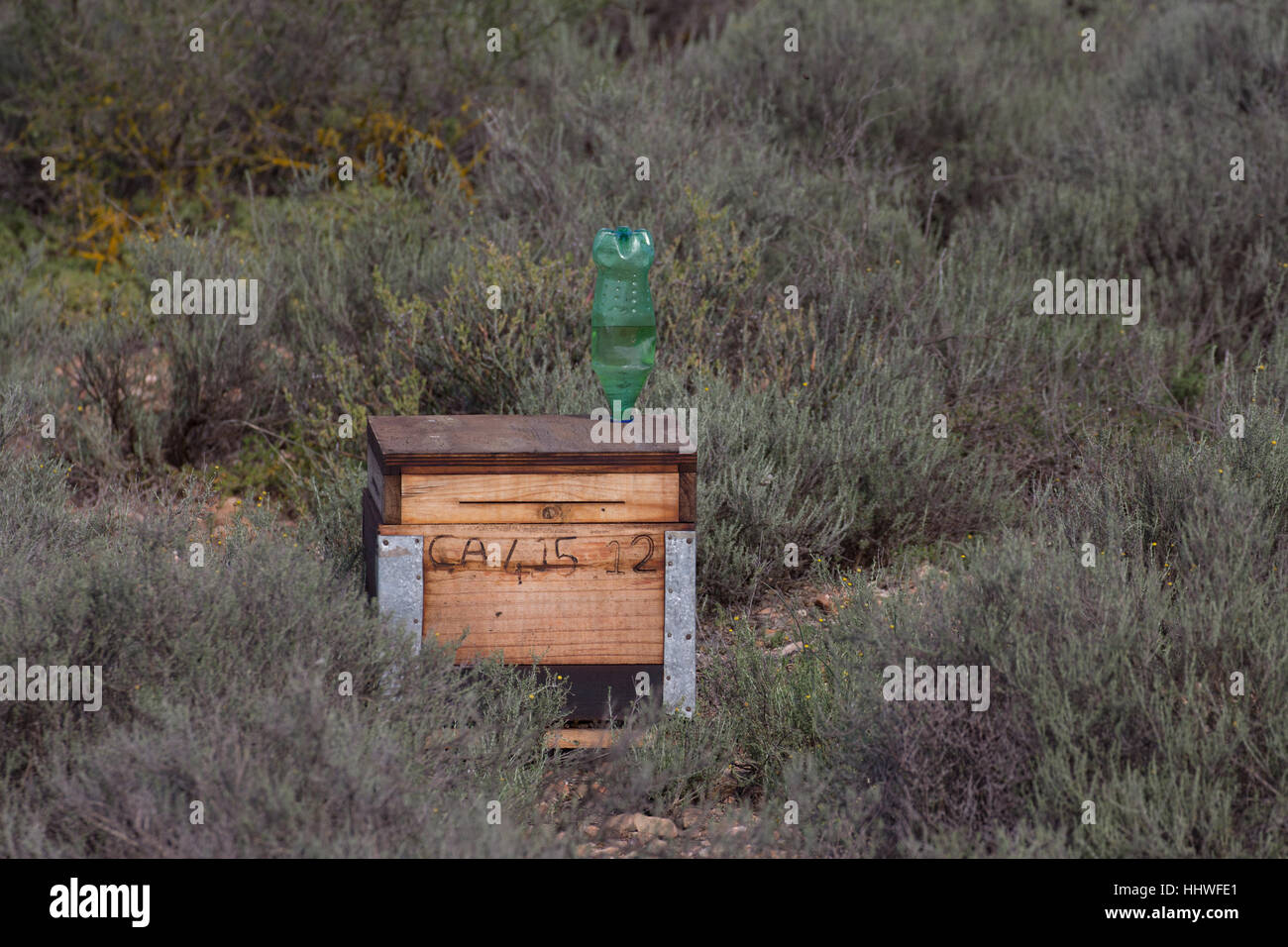 Karoo desert hi-res stock photography and images - Alamy