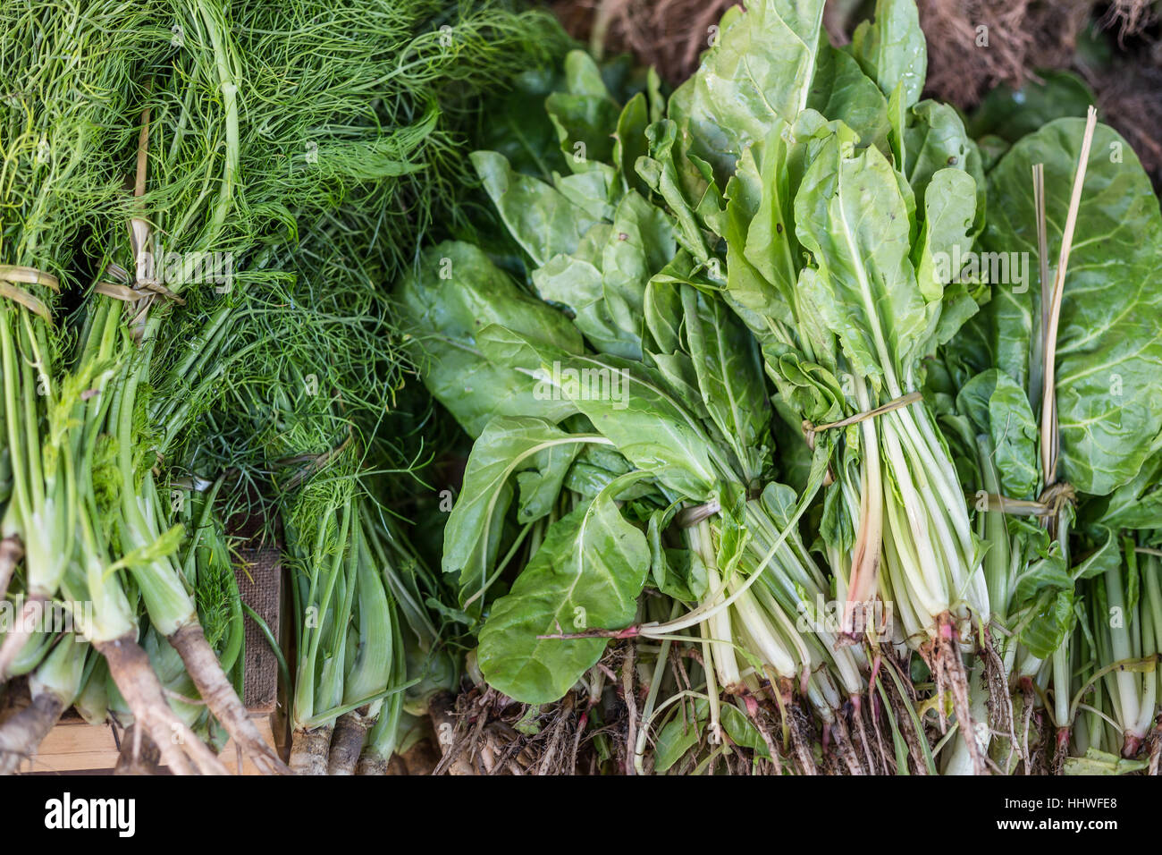 Market in palermo hi-res stock photography and images - Alamy