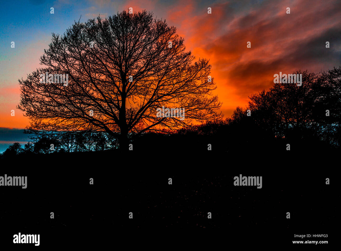 Kinver edge hi-res stock photography and images - Alamy