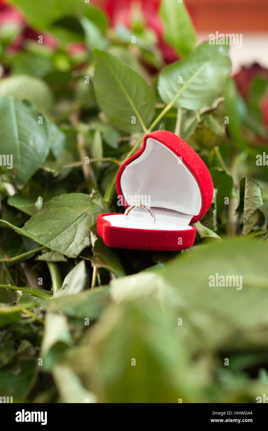 Bouquet of red roses with an engagement ring in a heart shaped box on ...