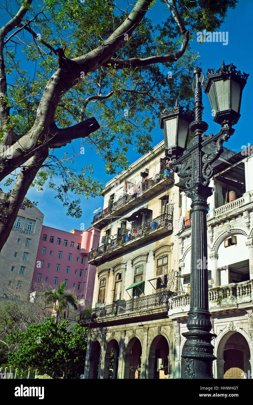 street lamp and tree foreground colonial apartment building in ...
