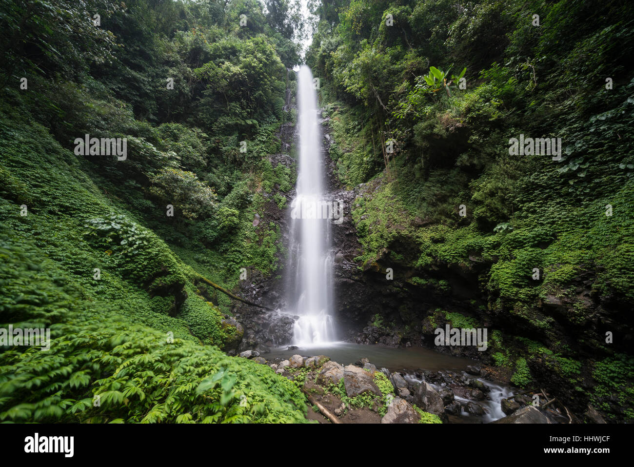 Laang Melanting, Waterfall in jungle, Munduk, Bali, Indonesia Stock ...