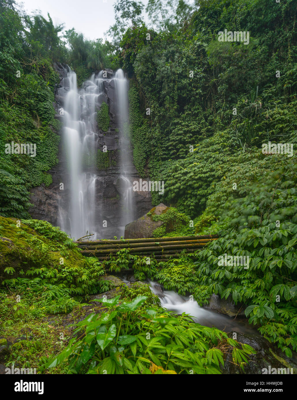 Munduk waterfall in jungle, Munduk, Bali, Indonesia Stock Photo - Alamy