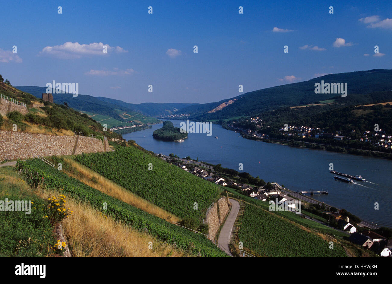 Overview of Rhine-Valley near Lorchhausen, Hesse, Rheingau Region ...