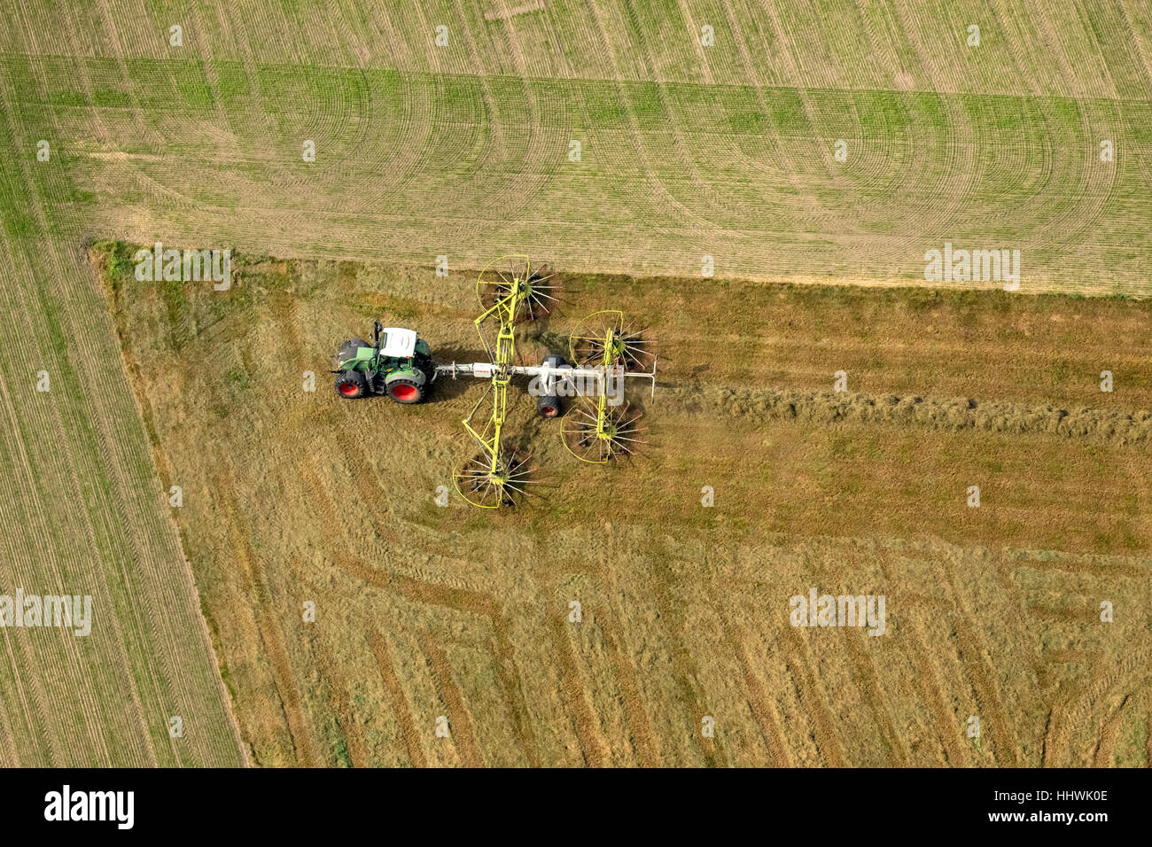 German Industry And Agriculture